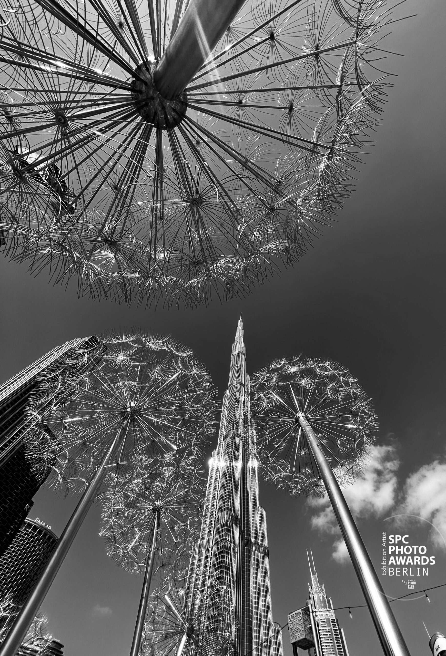 SPC Photo Awards - Berlin - vom 30. Mai - 07. Juni 2025 , Berlin ...